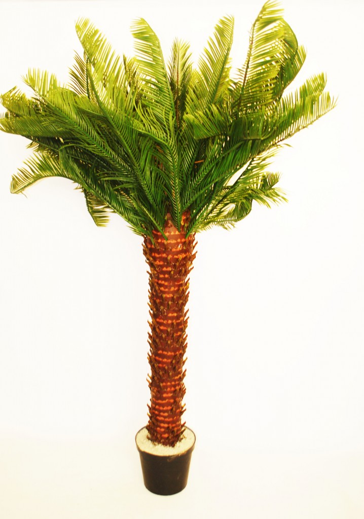 Palm Tree (Plastic) (6ft) - Theme Prop Hire