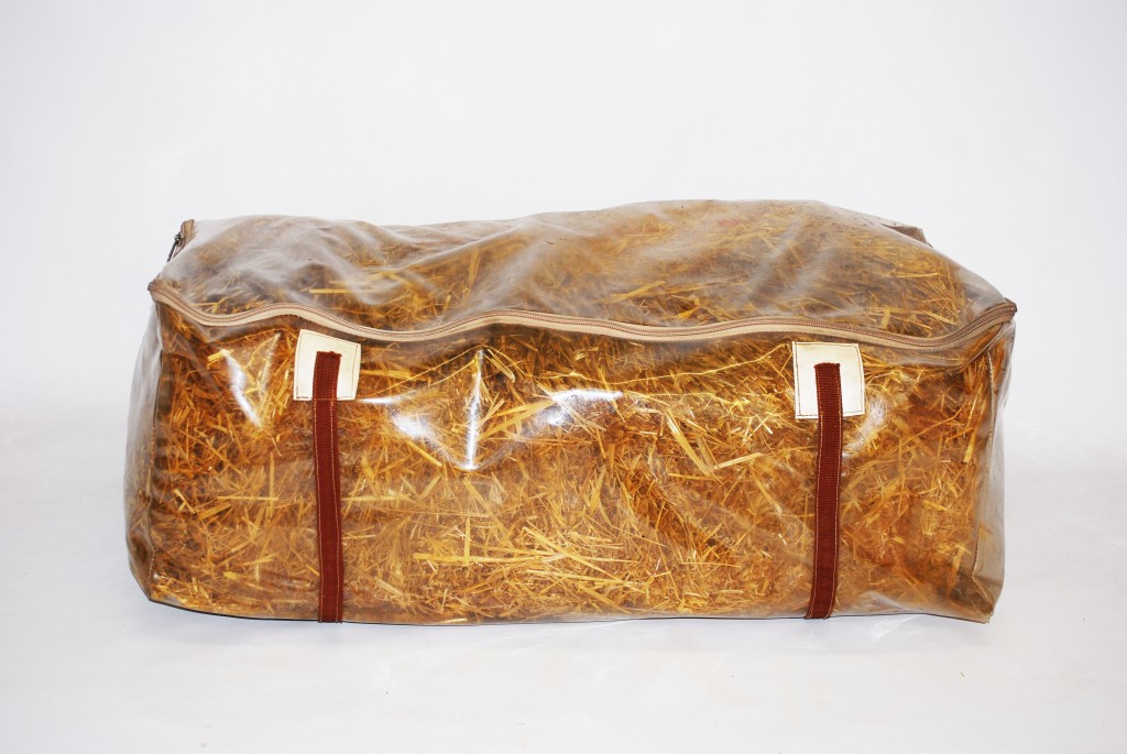 Hay Bales (in Plastic) (0.3m (H) x 0.47m (W) x 0.9m (L)) - Theme Prop Hire