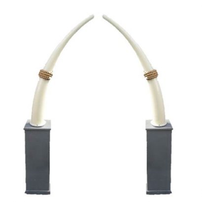Elephant Tusk Arch (2x elephant tusks on stand) - Theme Prop Hire